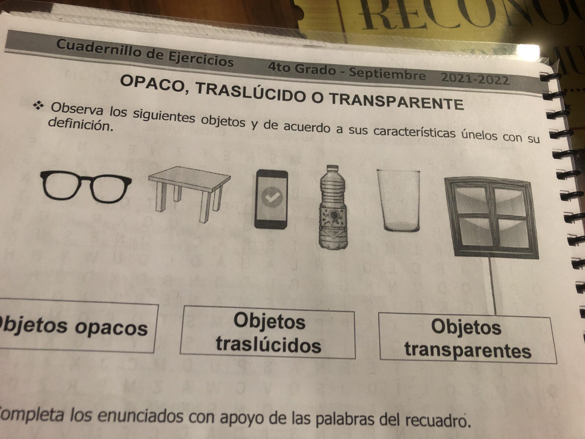 Qué es la base gel - Belleza y Autoestima